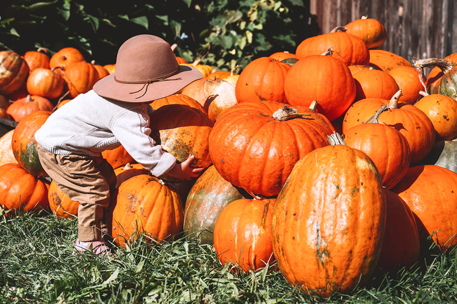 Adams Community Bank